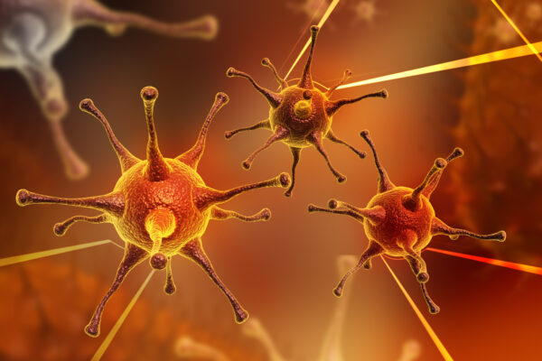 National Science Bee – Varsity & Junior Varsity – IAC – US Division